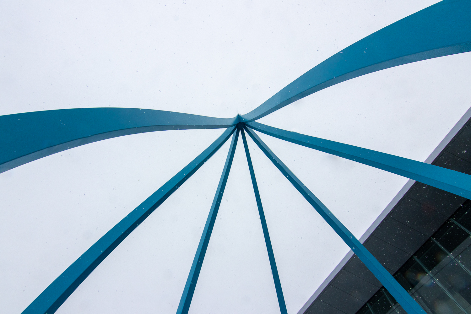 A Public Art Tour of Ottawa’s Light Rapid Transit (LRT) O-Train ...